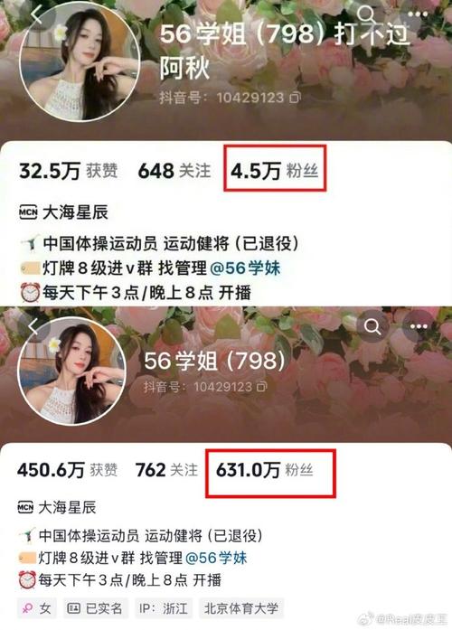 名人榜快手涨粉正版