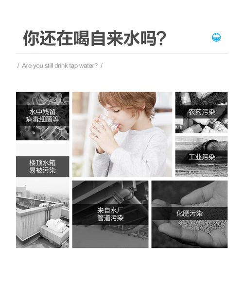 白开水4.1国体直装(2.4.4).apk截图