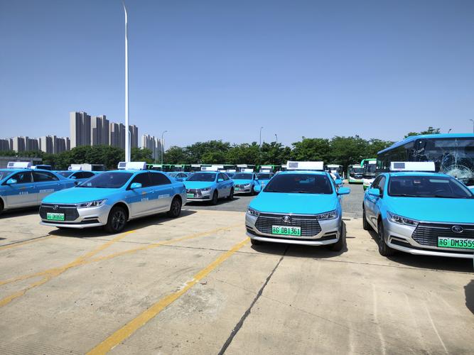 出租从业资格证2021图标