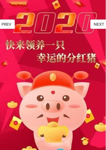 陀螺养猪V1.0图标