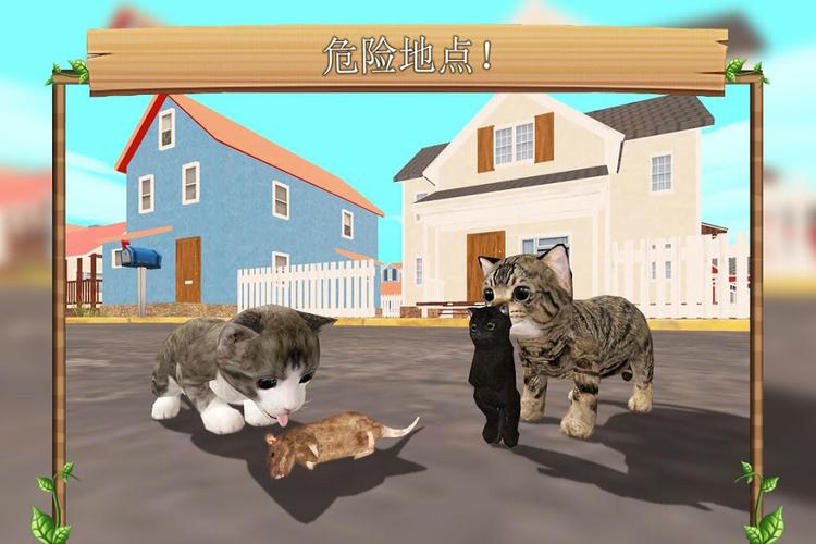 画质猫免卡密