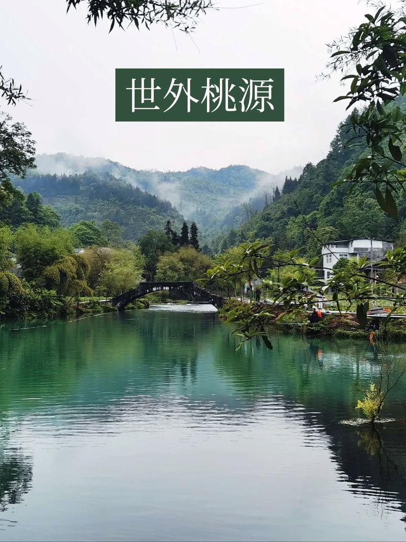 世外桃源安卓手机版