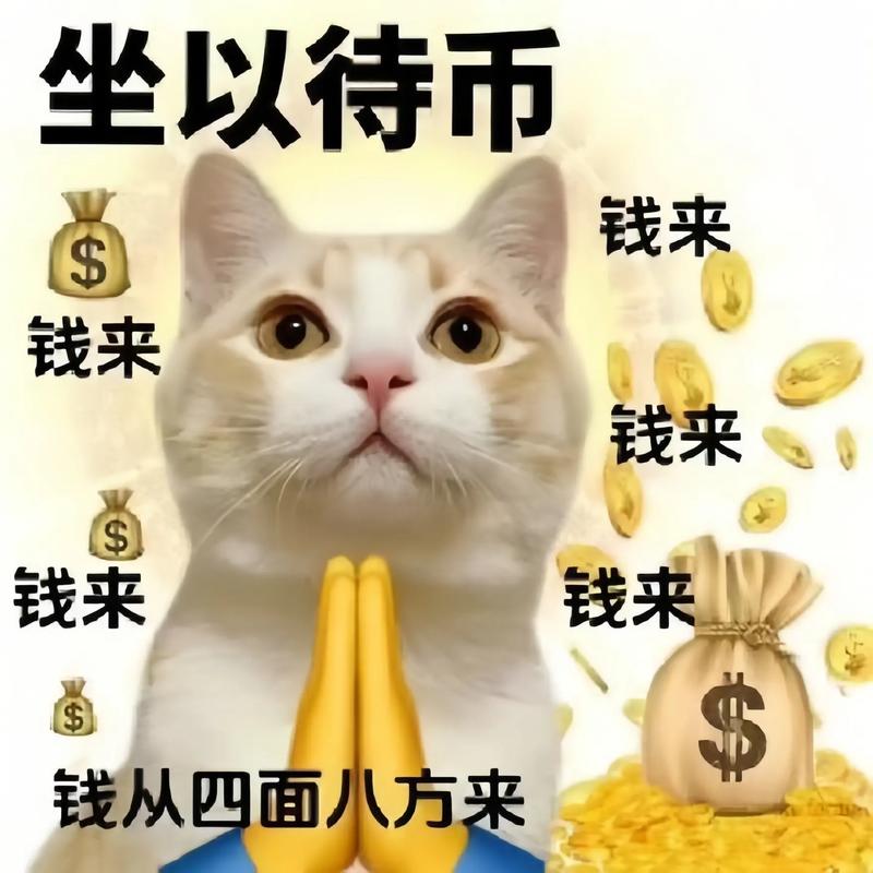 烦恼滚蛋财富这边来表情包截图