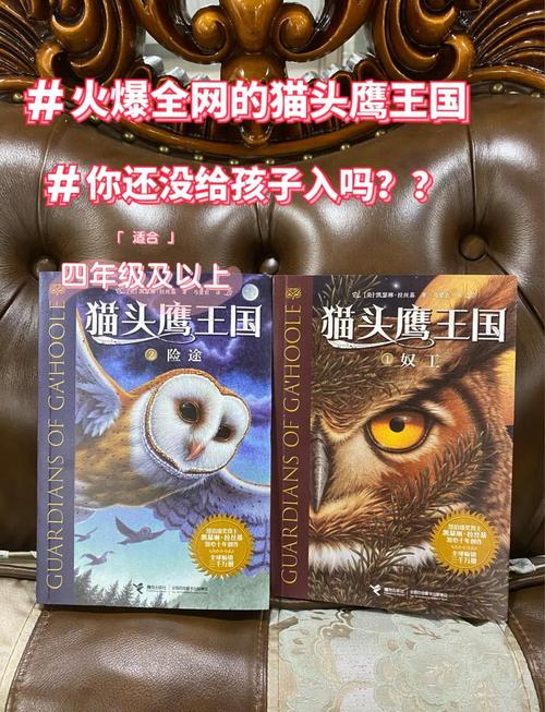 猫头鹰小说