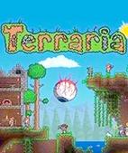 Terraria皮皮蛙汉化iOS图标