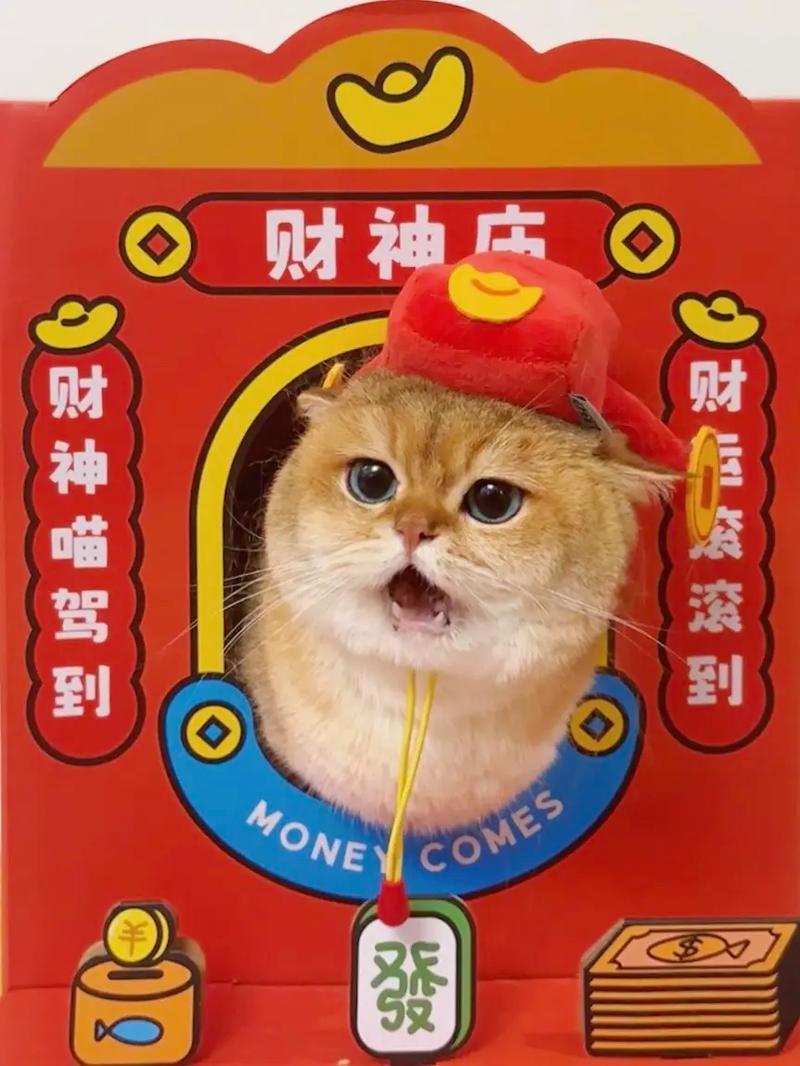 财神养猫红包版