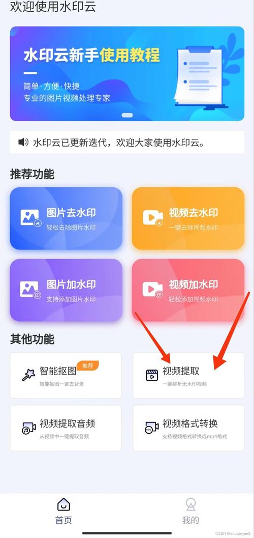 短视频解析全网去水印(短视频解析工具)