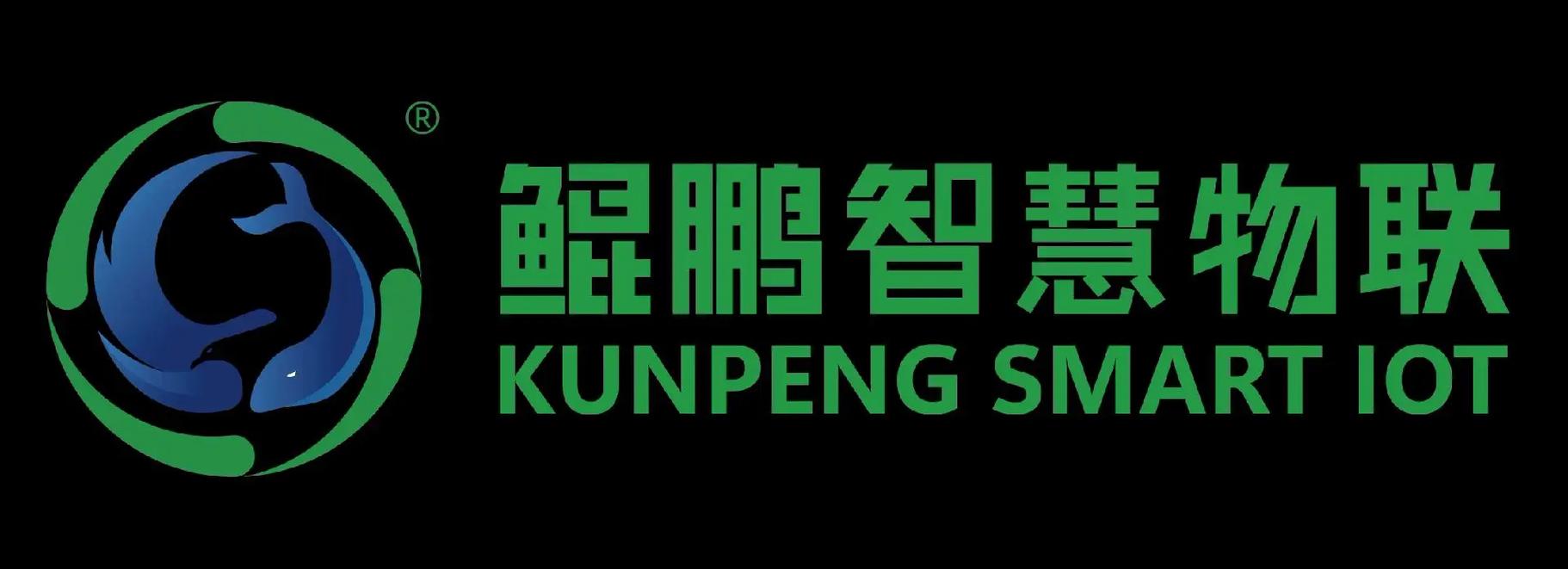 鲲鹏计步红包版v1.0截图