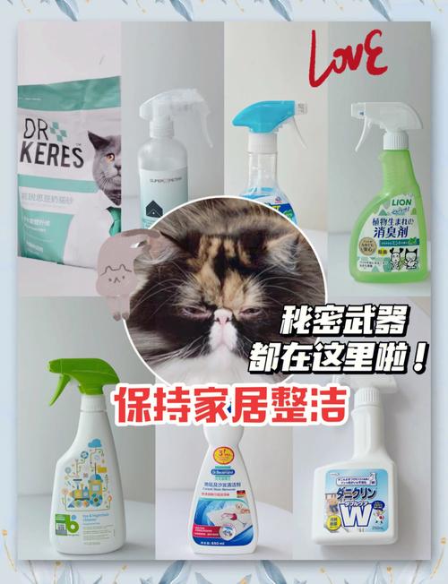 养猫达人极速版截图