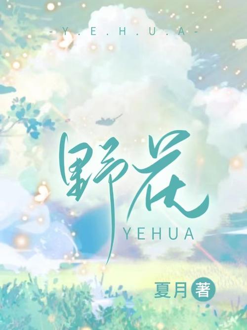 野花小说图标