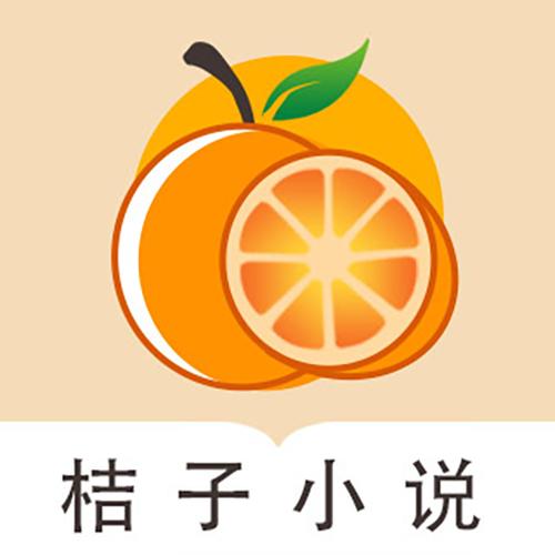桔子小说d图标