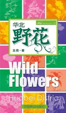 野花小说网免费版图标