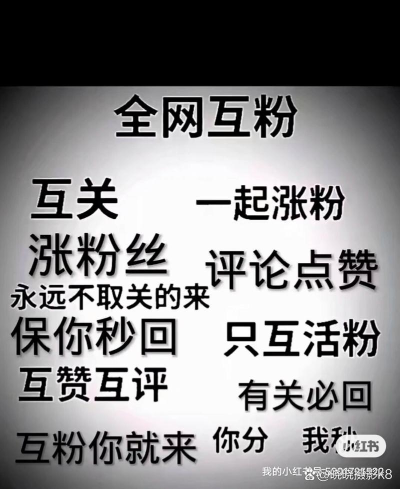 快手名人榜互粉V1.0图标