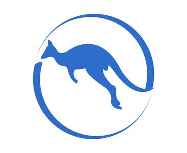 袋鼠跳跳正式版图标