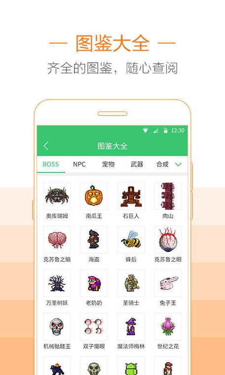 泰拉瑞亚盒子助手1.4