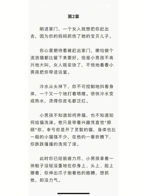 豆腐免费小说