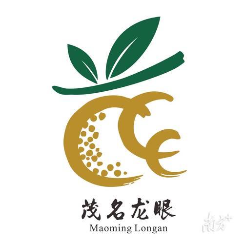 桂圆视频图标