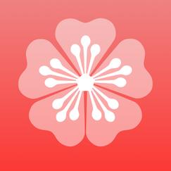 梅花视频APP旧版免费版截图