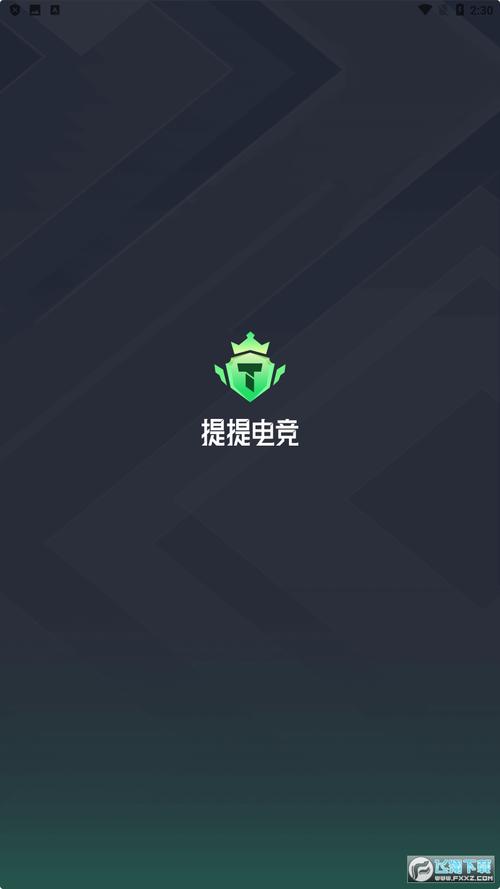 提提电竞官网版图标
