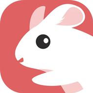 龙猫速赚app图标