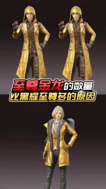 至尊金龙风衣修改器