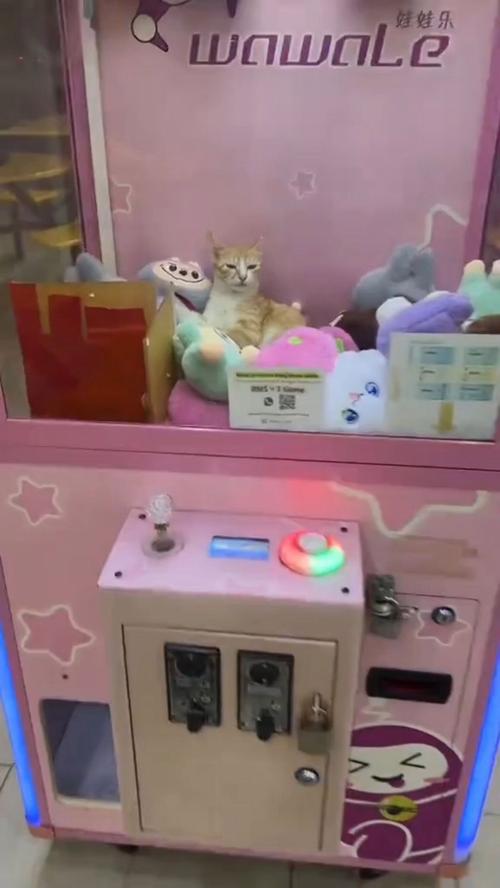 猫抓娃娃机