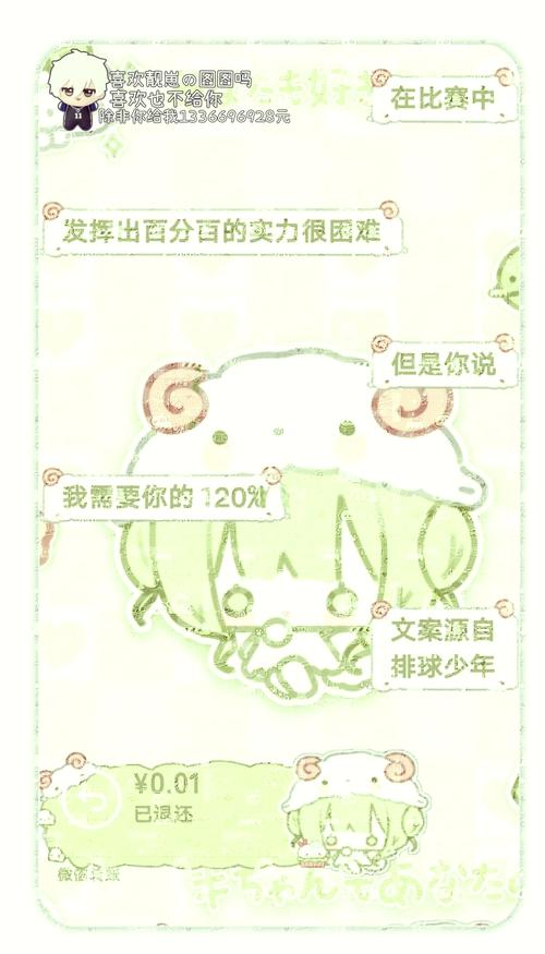 YJS6CN美化包