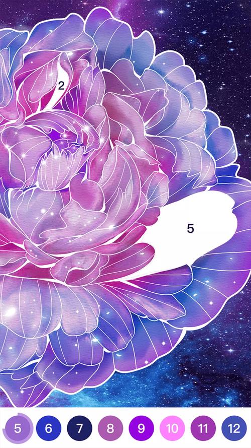 梦幻涂色破解