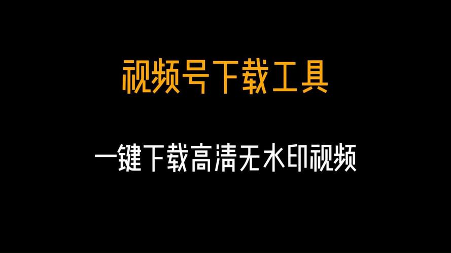 短视频解析全网去水印(短视频解析工具)截图
