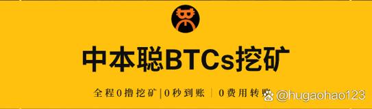 中本聪btcs官方版图标