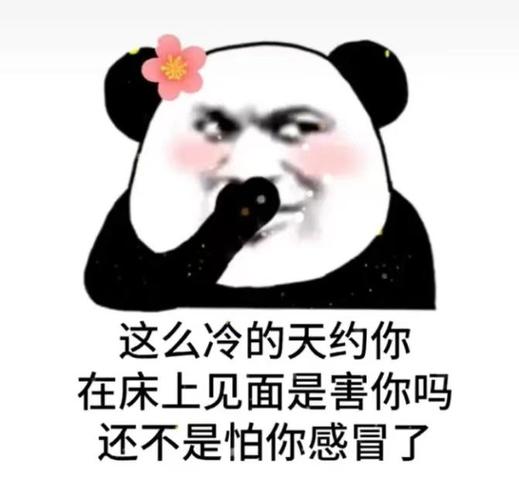 这么冷的天约你在床上见面还不是怕你感冒表情包