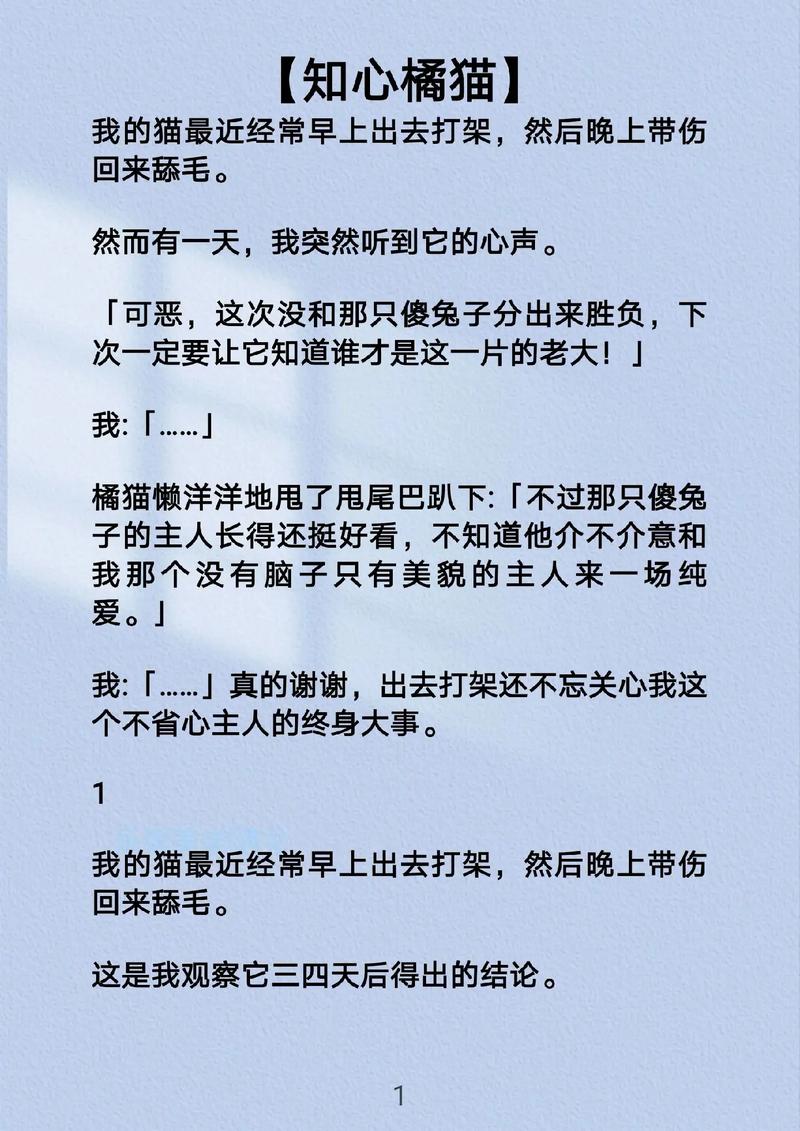 橘猫小说