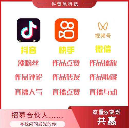 抖音涨粉丝辅助器截图