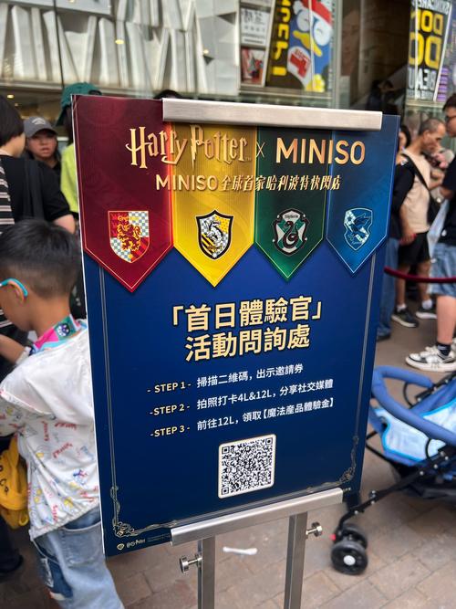 哈利的营地截图