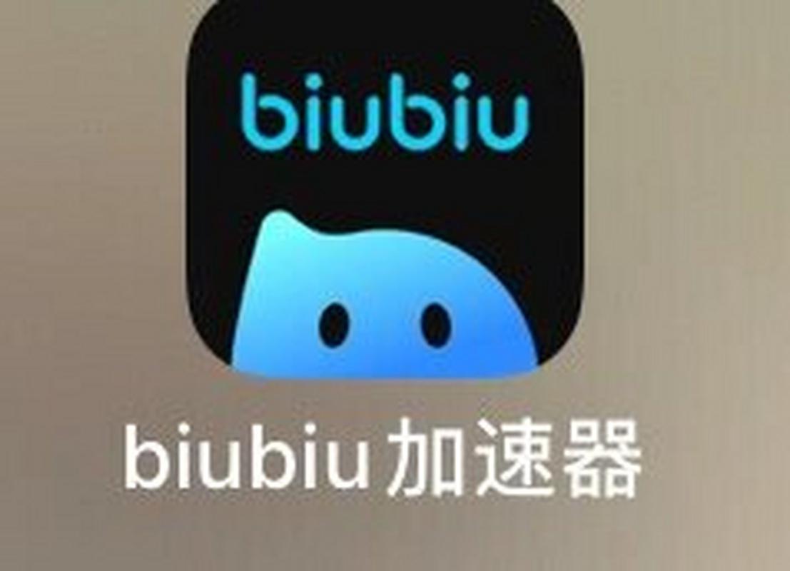 BUIBUIBUI加速器图标