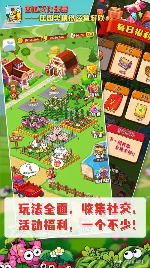 西瓜文化最新版