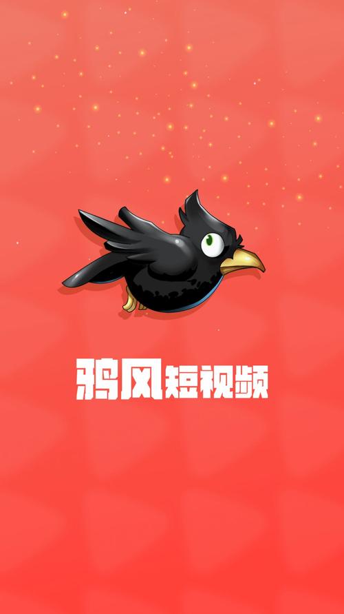 鸦风短视频v1.0图标