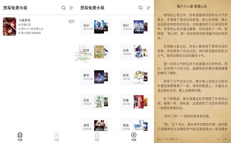 黑莓小说破解版