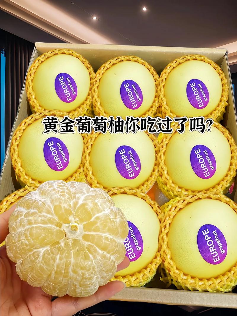 葡柚短视频v1.0.0截图