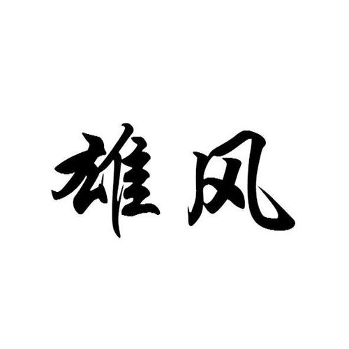雄风小说网图标