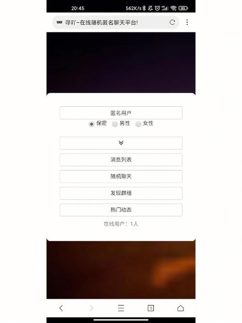 匿名聊天deskry官网版