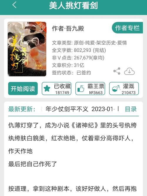 挑灯小说