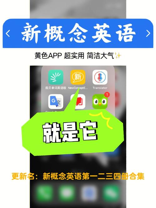 新概念英语点读app图标