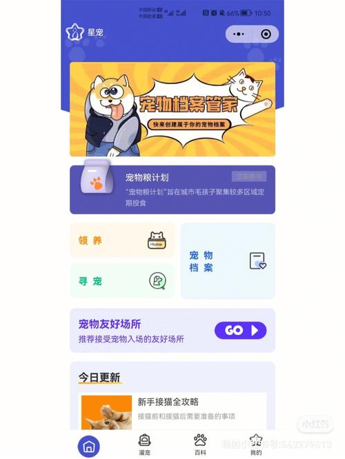 遛狗团