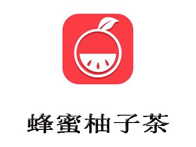 蜂蜜柚子国体插件免root版截图