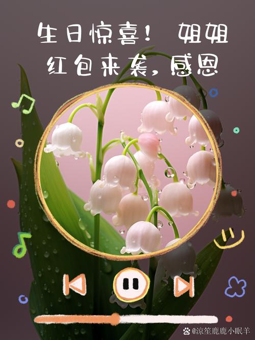 姐姐来了红包版
