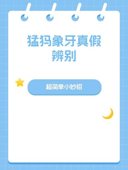 象牙社交