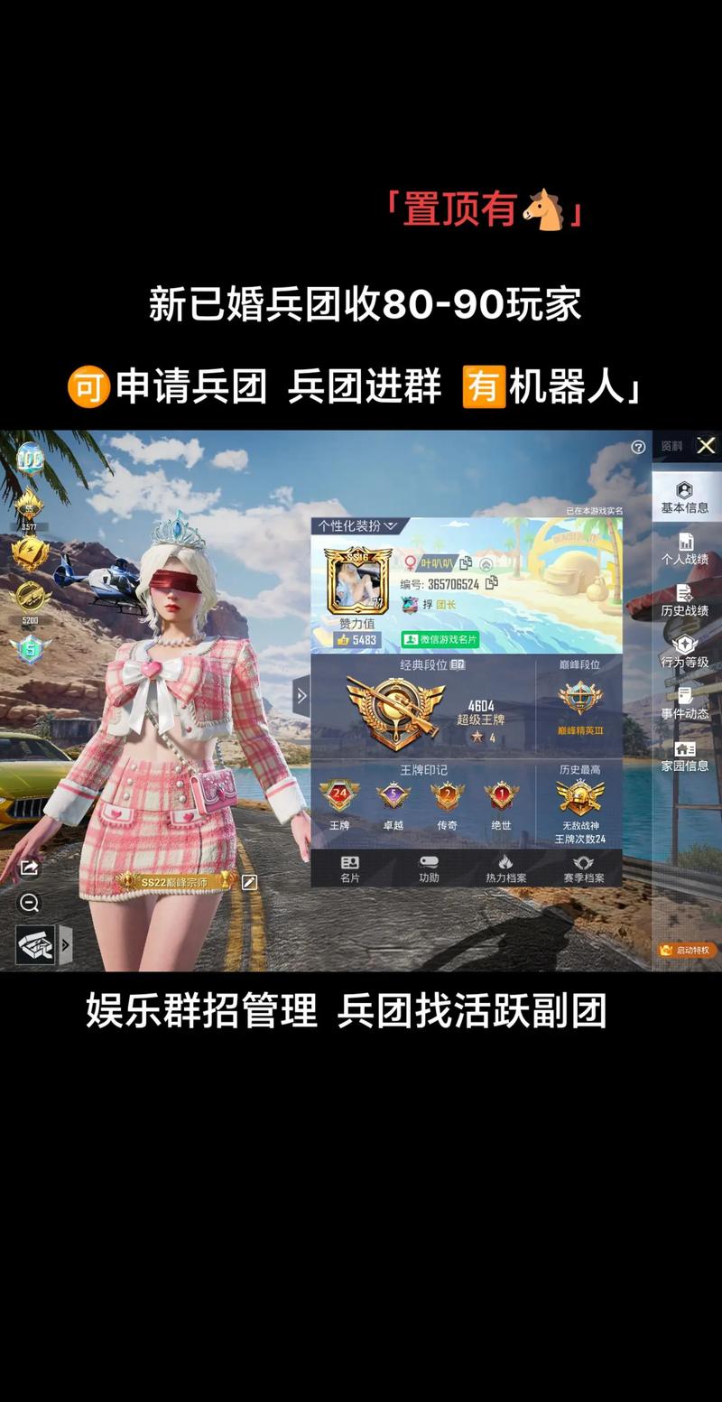 和平精英团长助手v1.0