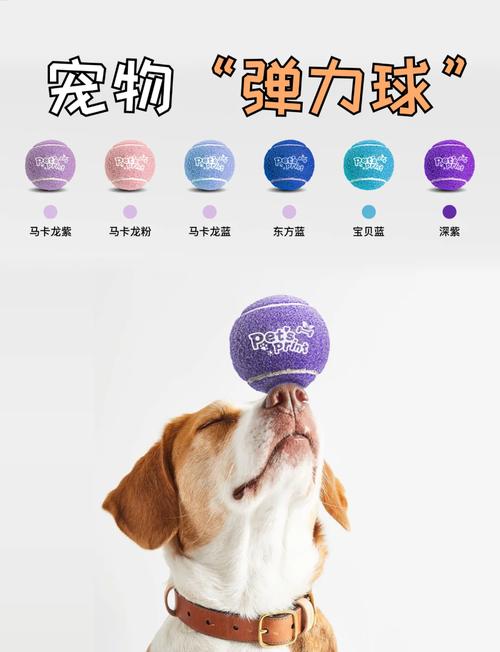 萌宠弹力球红包版截图