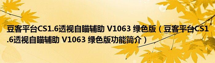 自瞄透视辅助器中文字幕截图